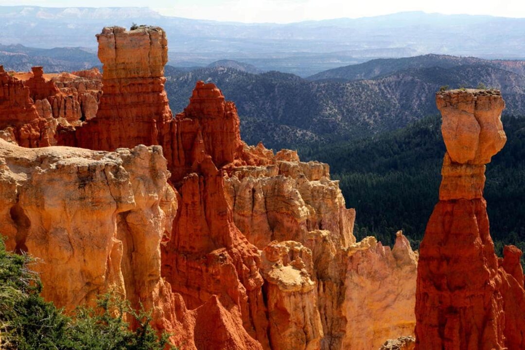 A Guide to Taking the Bryce Canyon Scenic Drive – Insider's Utah