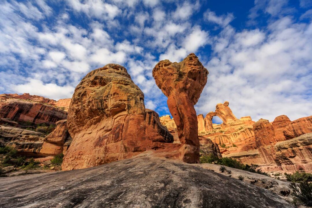 19 Best Things to do in Canyonlands National Park – Insider's Utah