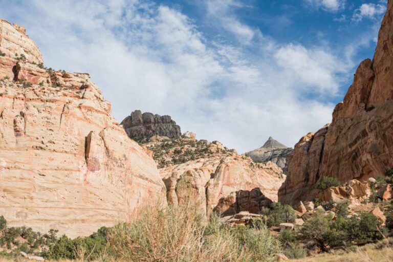 15 Things to Do in Capitol Reef National Park – Insider's Utah