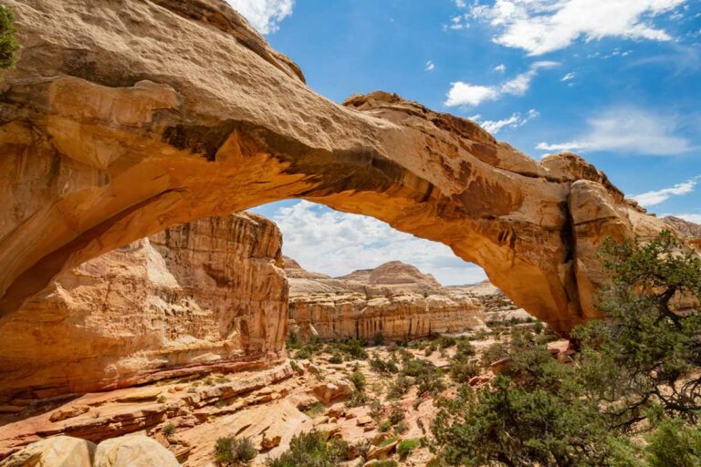 15 Things to Do in Capitol Reef National Park – Insider's Utah