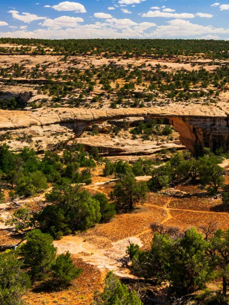 14 Unmissable Things to do in Southern Utah – Insider's Utah