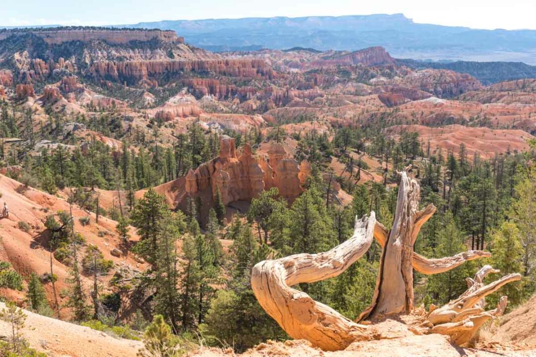 Stargazing in Bryce Canyon Guide – Insider's Utah