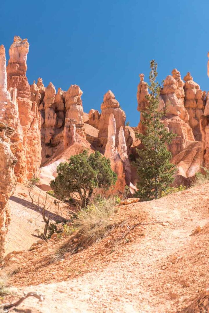 Bryce Canyon's Hoodoos: A Visitors Guide – Insider's Utah