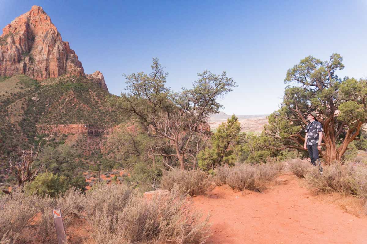 How to Hike the Watchman Trail, Zion National Park