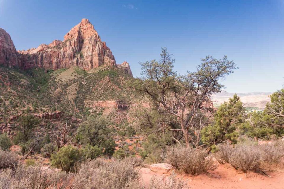 How to Hike the Watchman Trail, Zion National Park