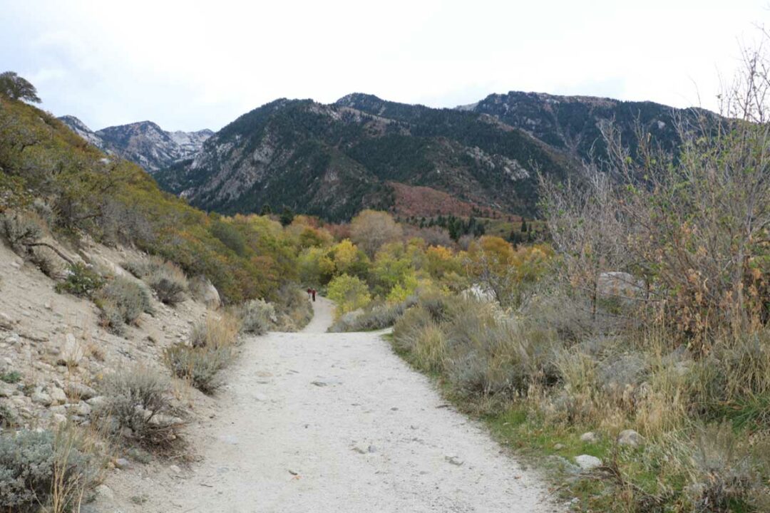 The 17 Best Hikes in Utah – Insider's Utah