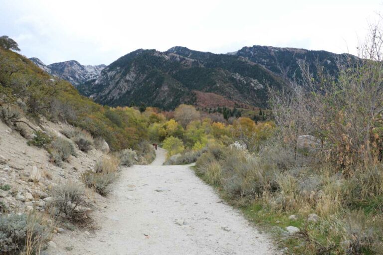 The 17 Best Hikes in Utah – Insider's Utah