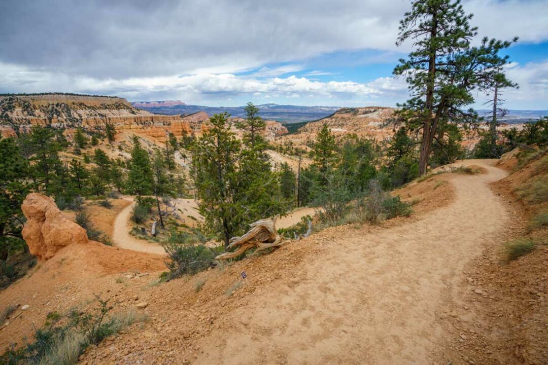 The 17 Best Hikes in Utah – Insider's Utah