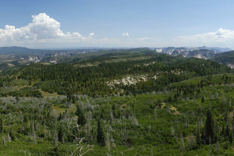 Handy Zion National Park Map – Insider's Utah