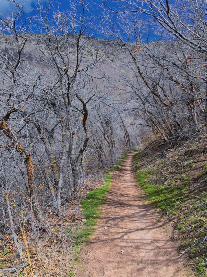 Best Hikes in Salt Lake City: 15 Epic Trails – Insider's Utah