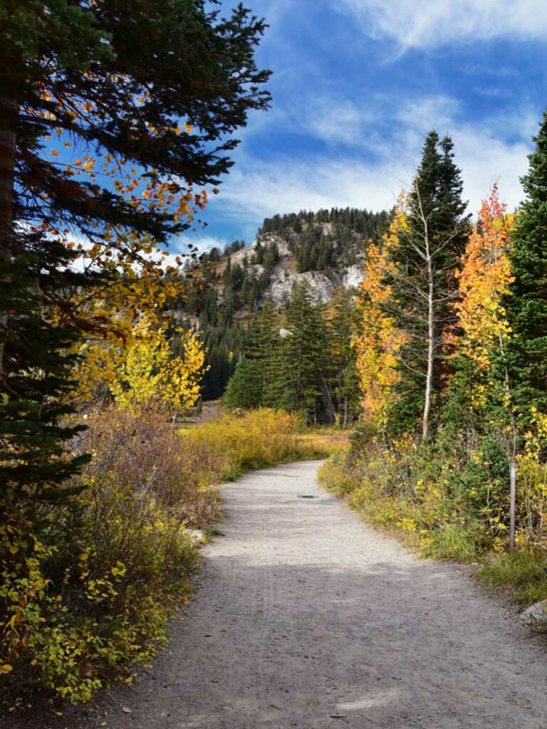 Best Hikes in Salt Lake City: 15 Epic Trails – Insider's Utah