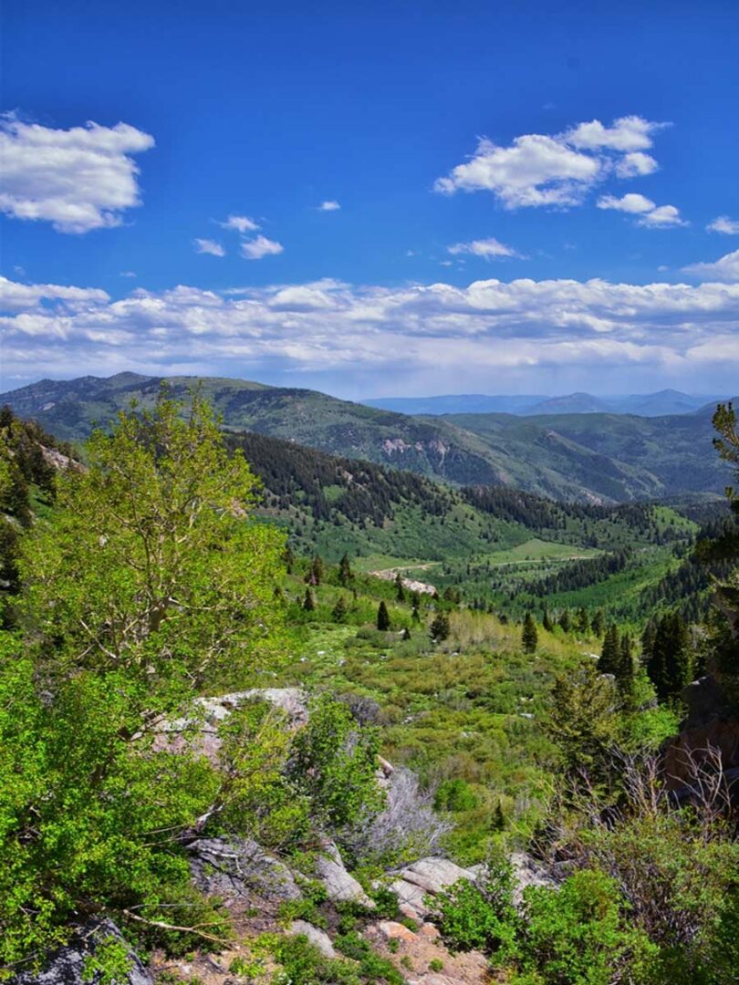 Best Hikes in Salt Lake City: 15 Epic Trails – Insider's Utah