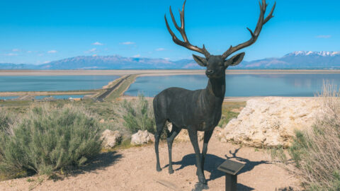 16 Utah Hidden Gems to Discover – Insider's Utah