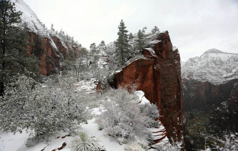 Visiting Zion National Park in Winter – Insider's Utah